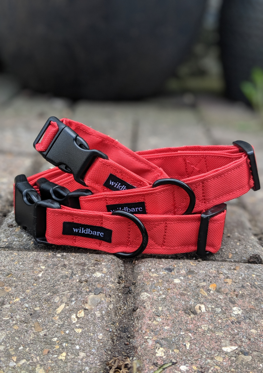 how-to-measure-your-dogs-neck-for-a-collar-wildbarc
