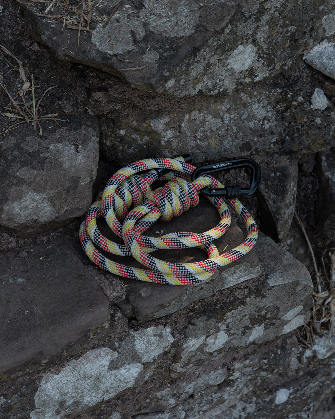 Wildbarc | Cellan Repurposed Climbing Rope Dog Lead
